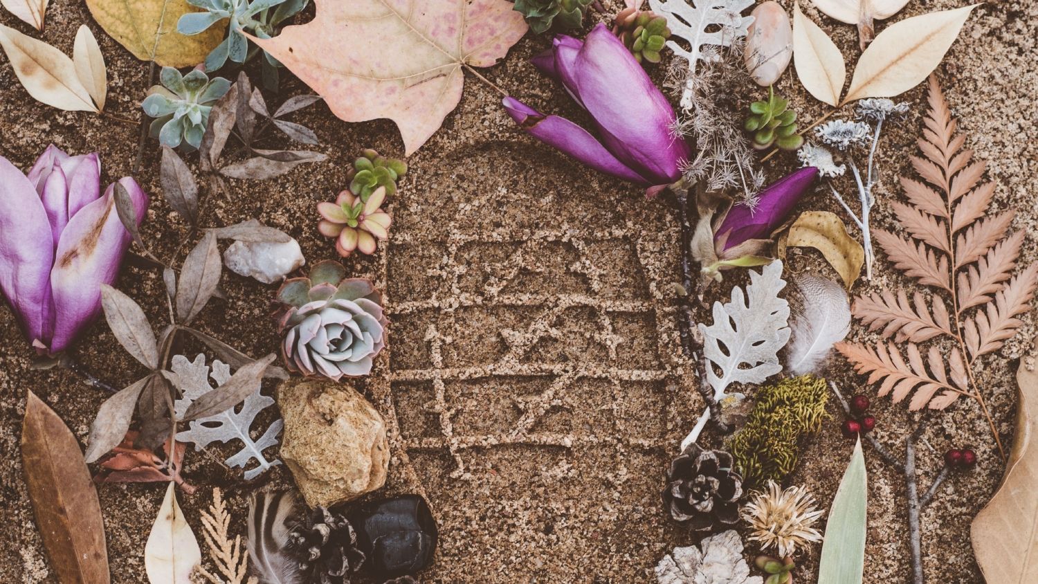 6 Immediate Steps You Can Take to Eliminate Your Carbon Footprint